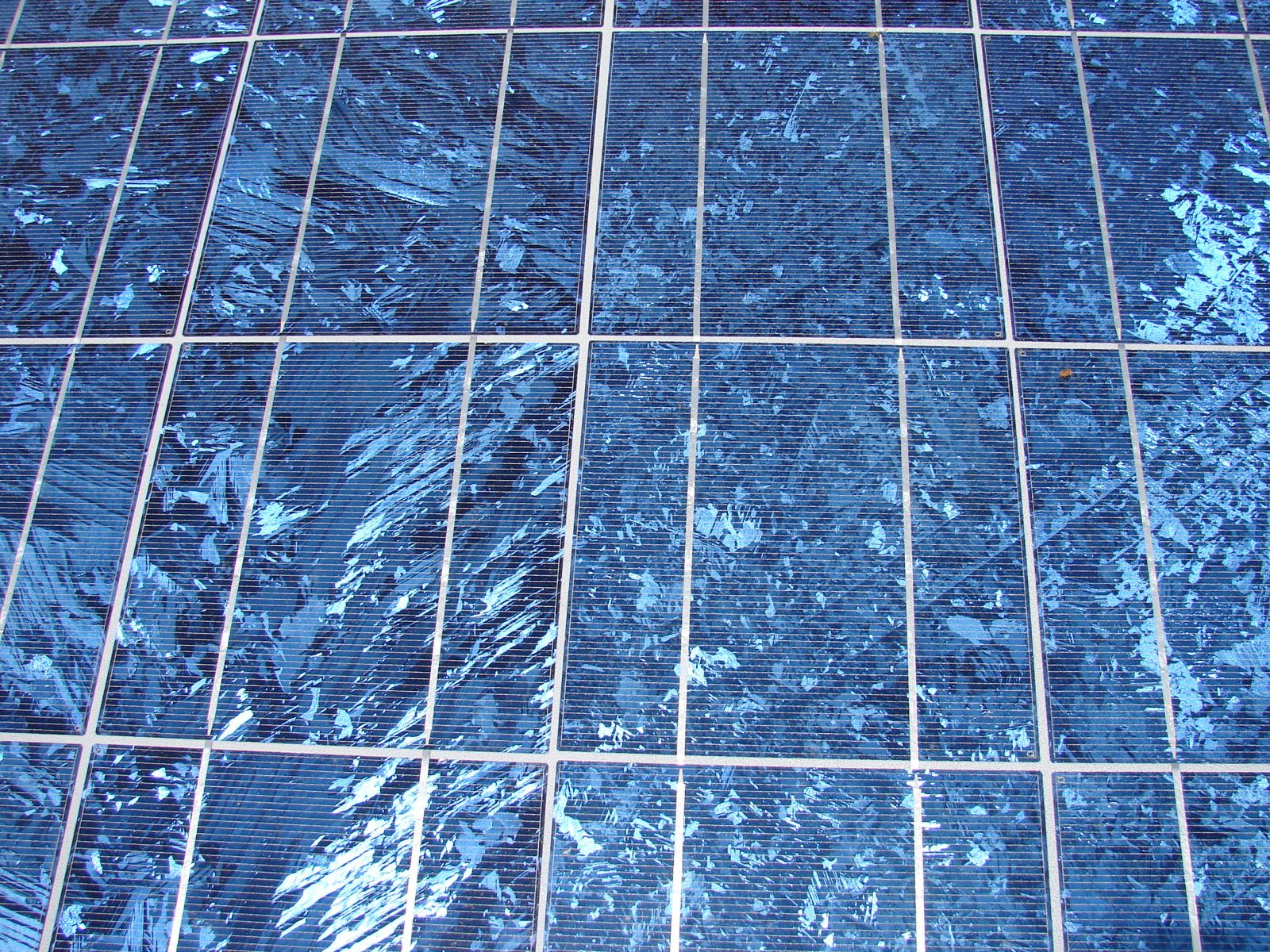 Monokristalline Solarmodule │ Raible Solar GmbH